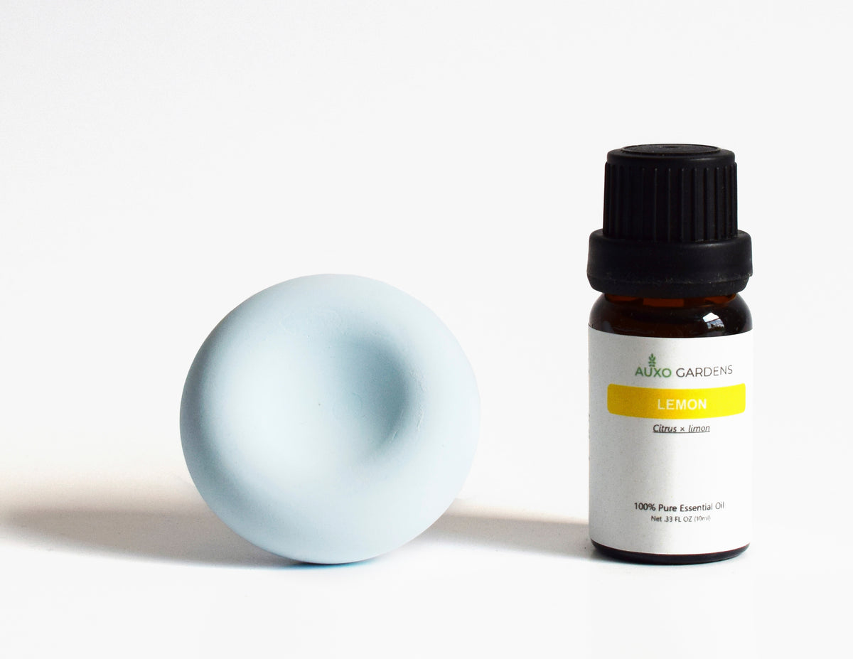 Ceramic Car Vent Clip Diffuser – Auxo Gardens